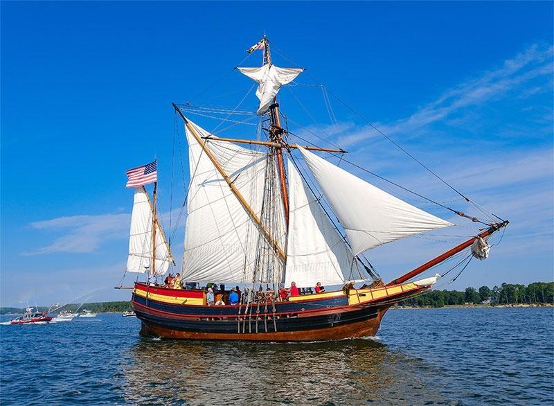 Discovering the Dove